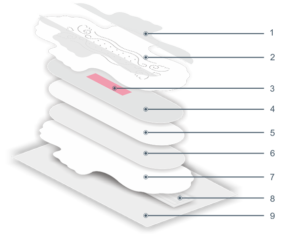 Sanitary napkin manufacturing process: a step by step complete guide ...